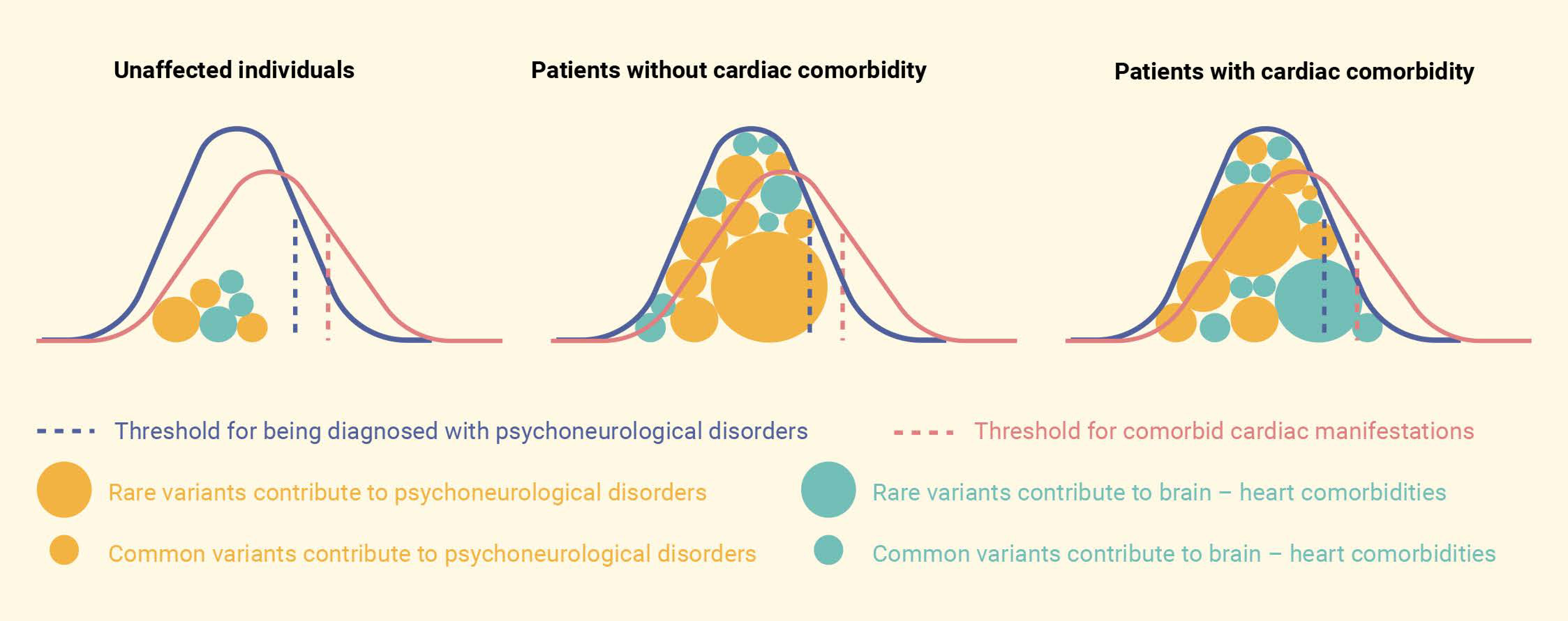 Unveiling genetic substrates of brain–heart comorbidities: Integration ...