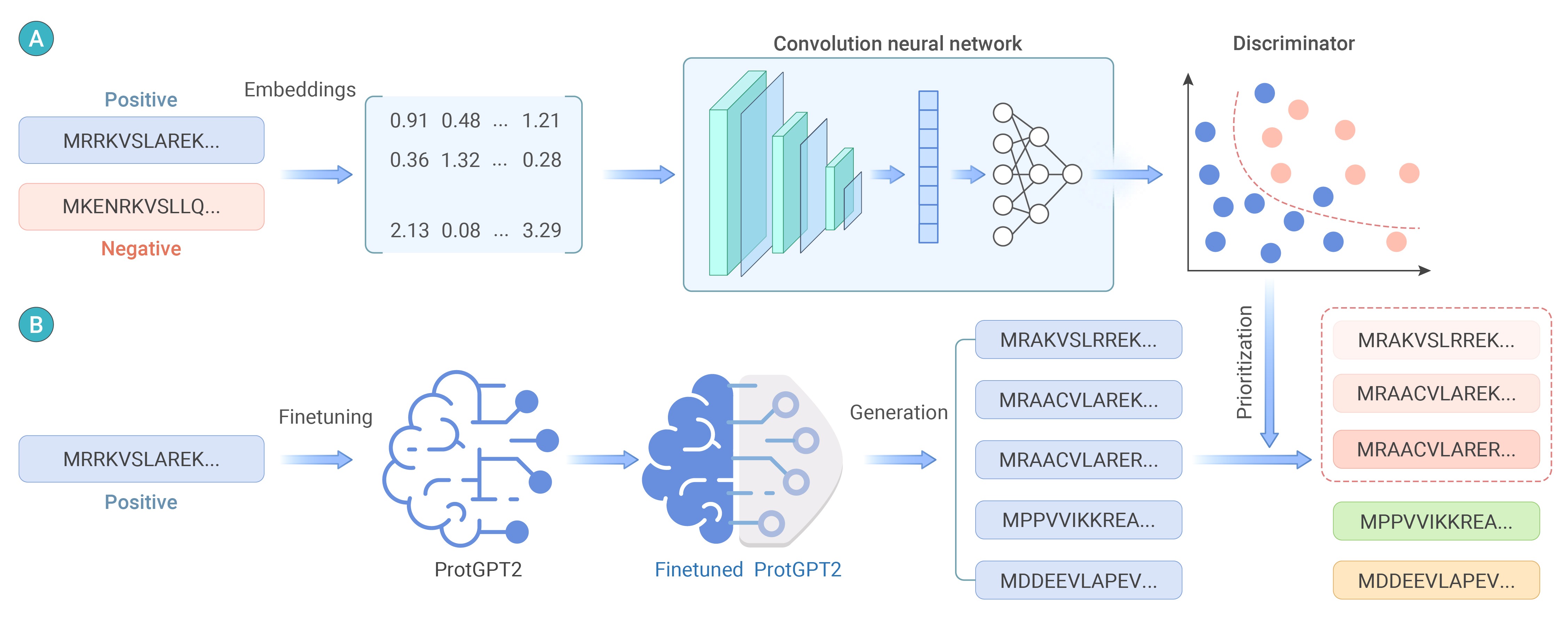 Accelerating functional protein discovery with GPT models: Antimicrobials and enzymes