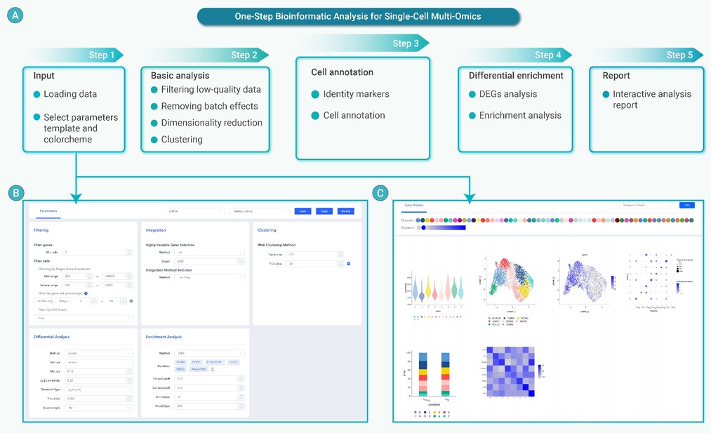 SeekSoul Online: A user-friendly bioinformatics platform focused on single-cell multi-omics analysis