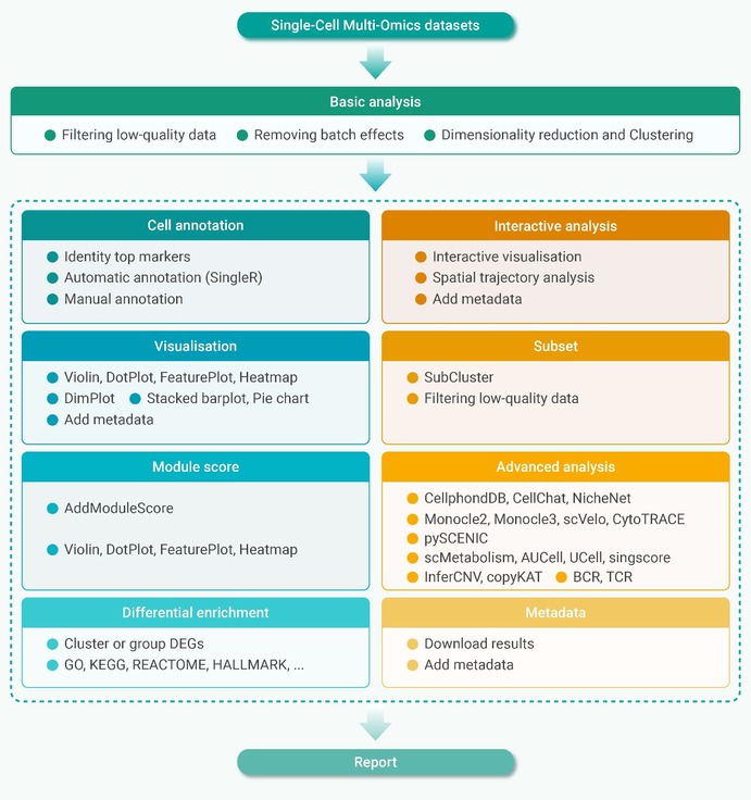 SeekSoul Online: A user-friendly bioinformatics platform focused on single-cell multi-omics analysis