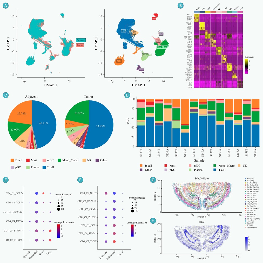 SeekSoul Online: A user-friendly bioinformatics platform focused on single-cell multi-omics analysis
