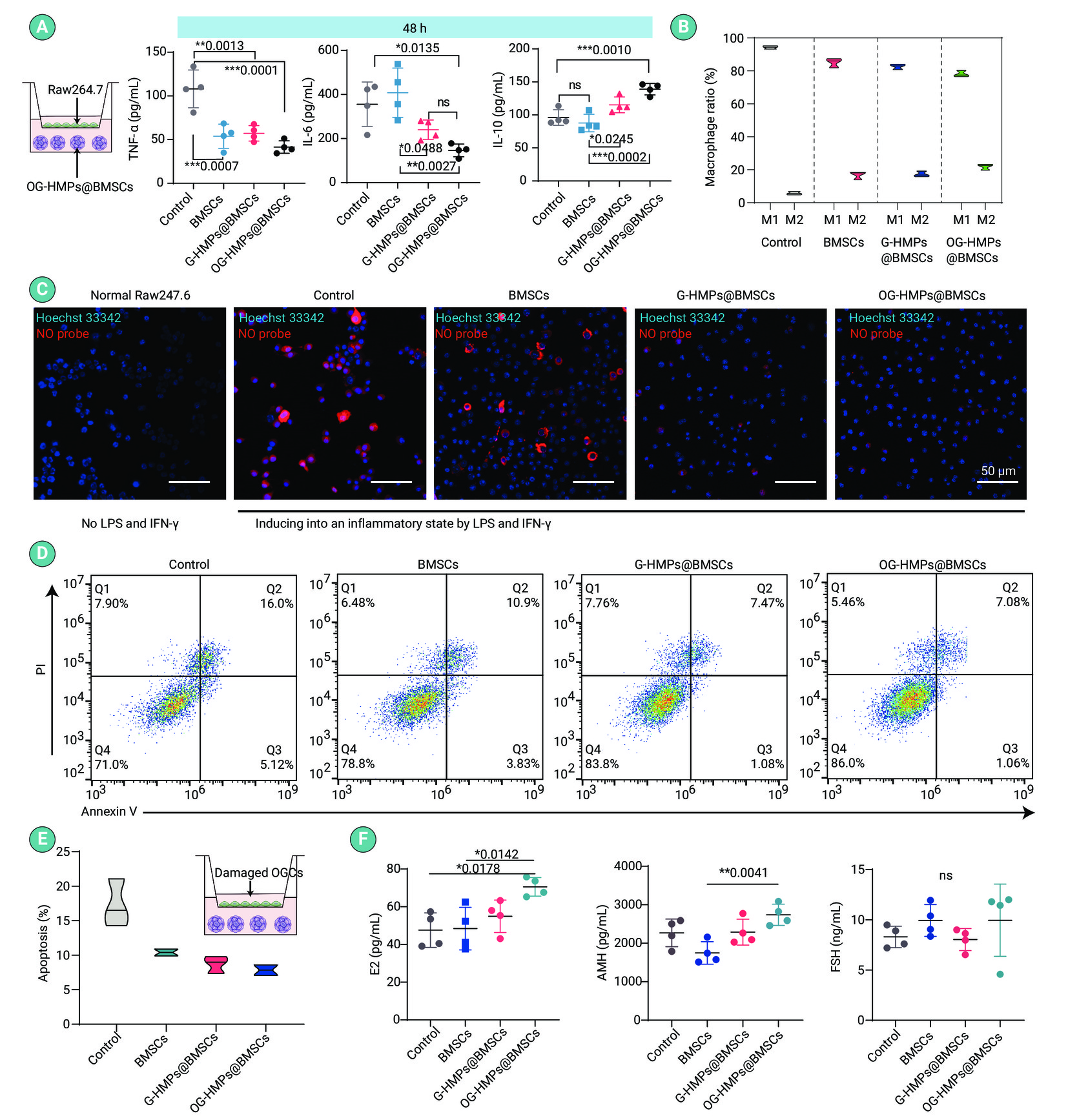 Ovarian extracellular matrix hydrogel microspheres increase the ...