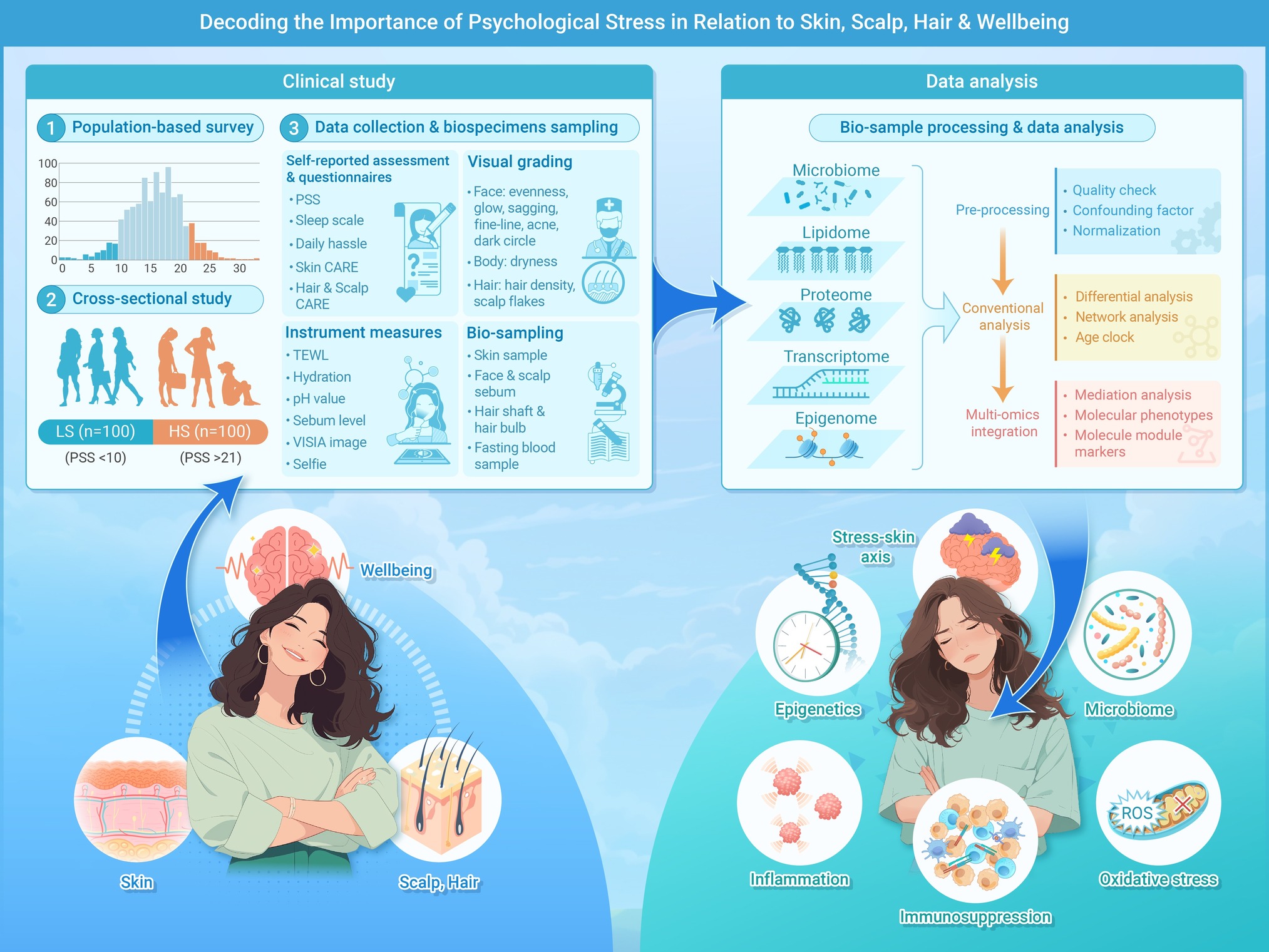 Mapping the stress-skin axis: Difficulties, strategies & prospects ahead