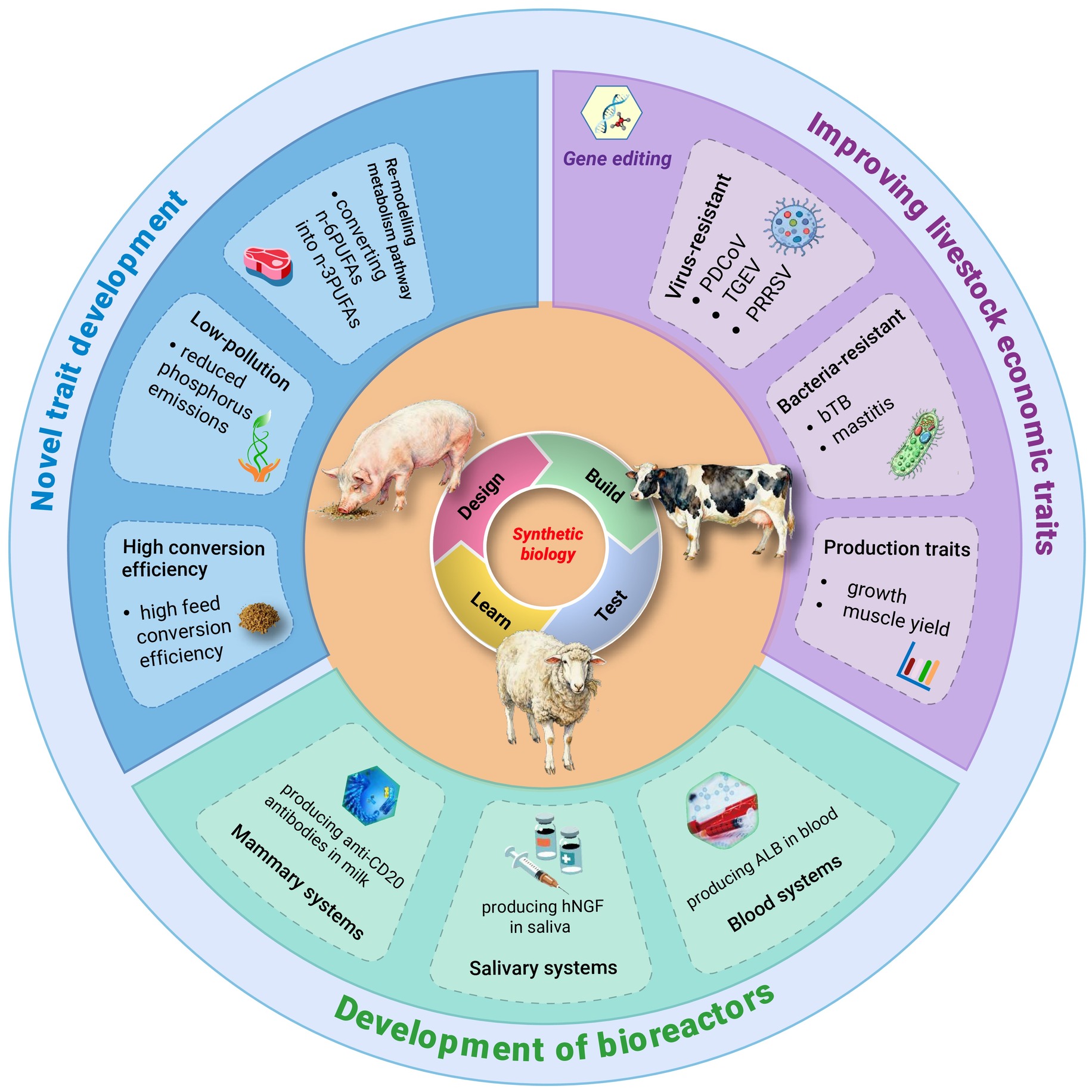 Synthetic biology: Revolutionizing animal breeding and biomanufacturing