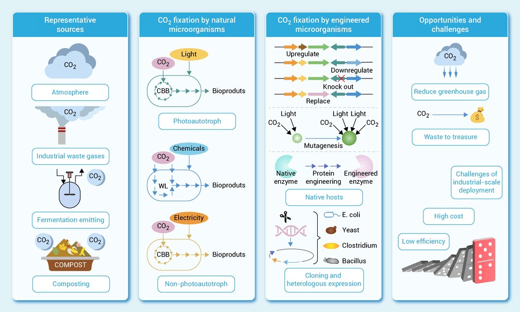Microbial carbon utilization for a sustainable future