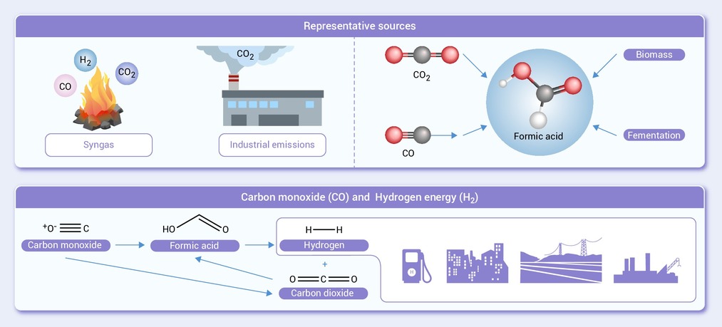 Microbial carbon utilization for a sustainable future