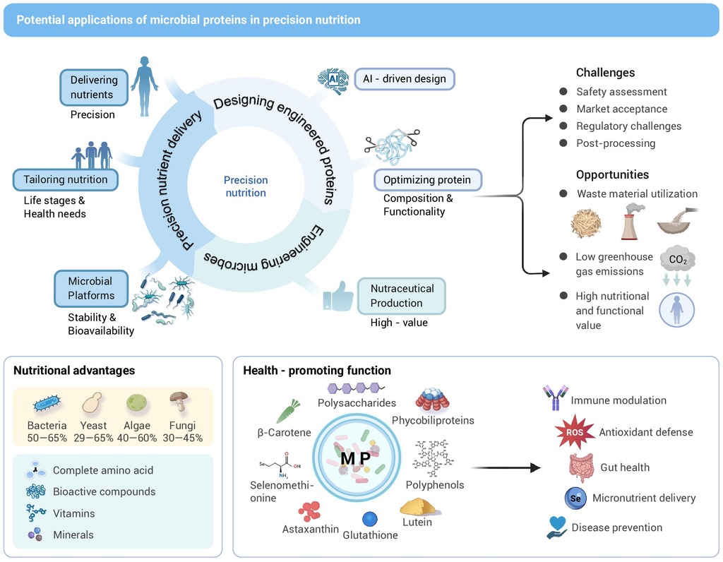 Customizing microbial protein to supply a sustainable solution for ...