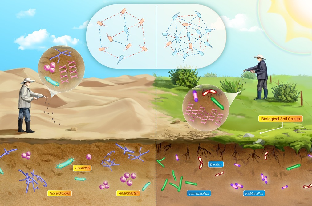 Nutrient supply drives concurrent K-to-r strategist shifts and ...