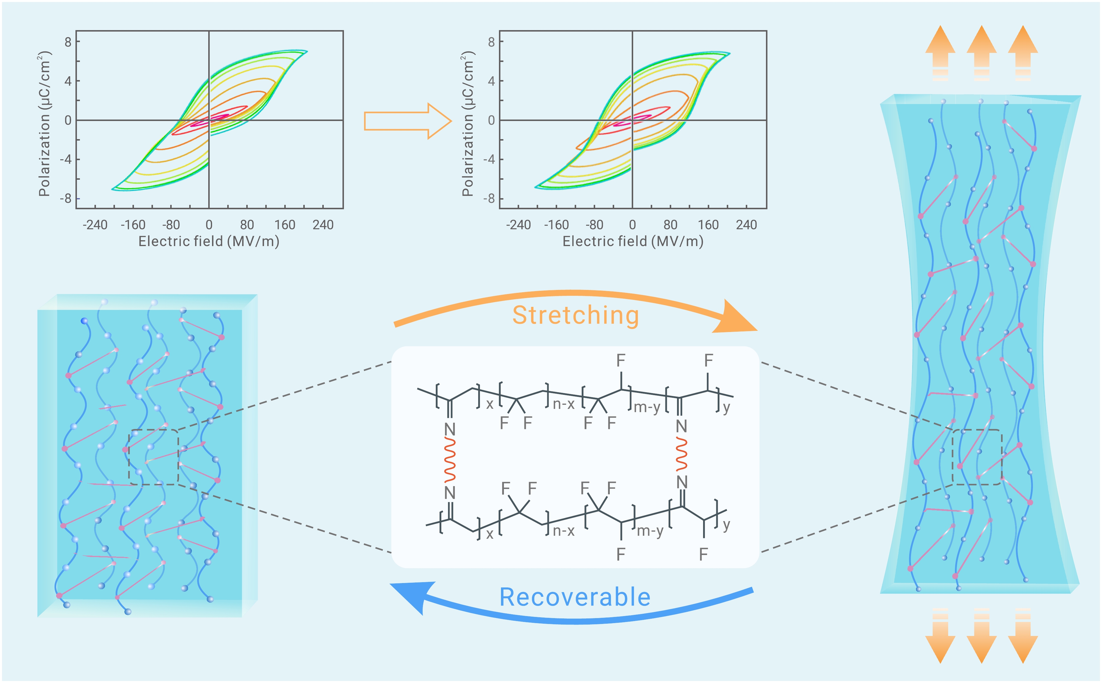 Chemical crosslinking enabling ferroelectric polymers for new memory ...