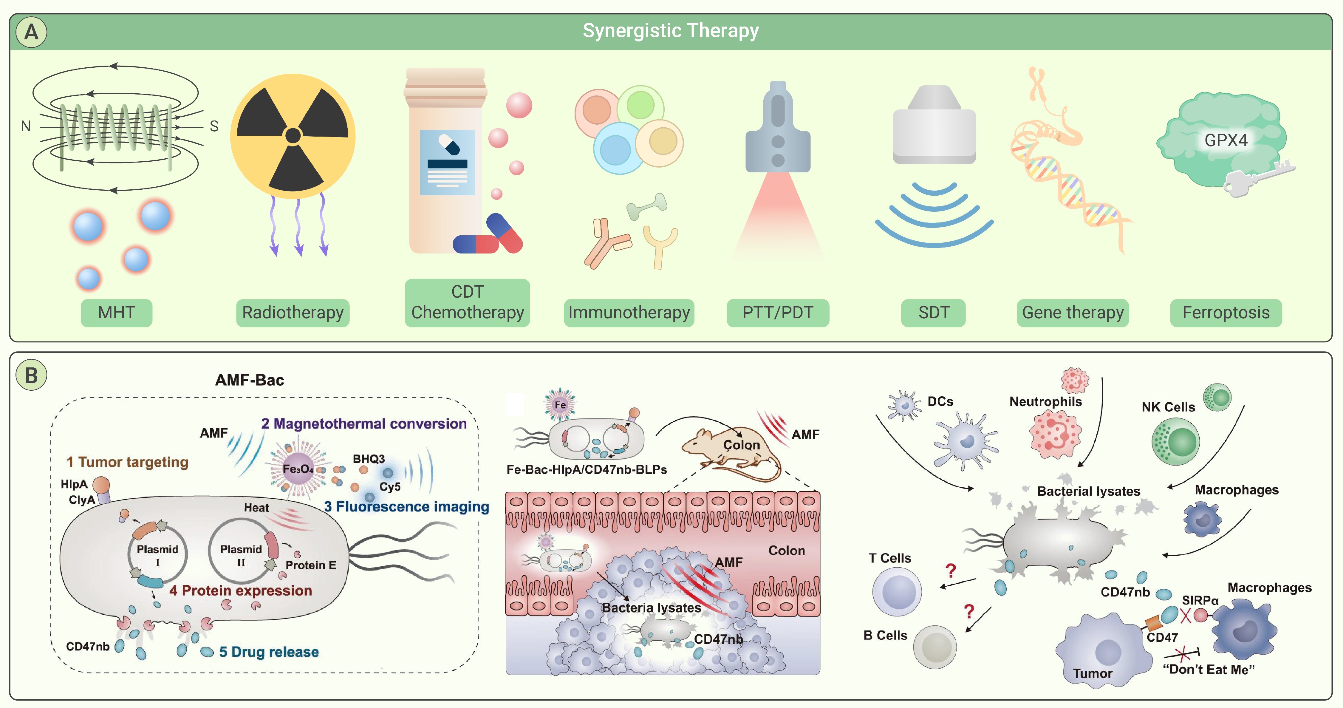 Magnetic nanoparticle-mediated hyperthermia: From heating mechanisms to ...