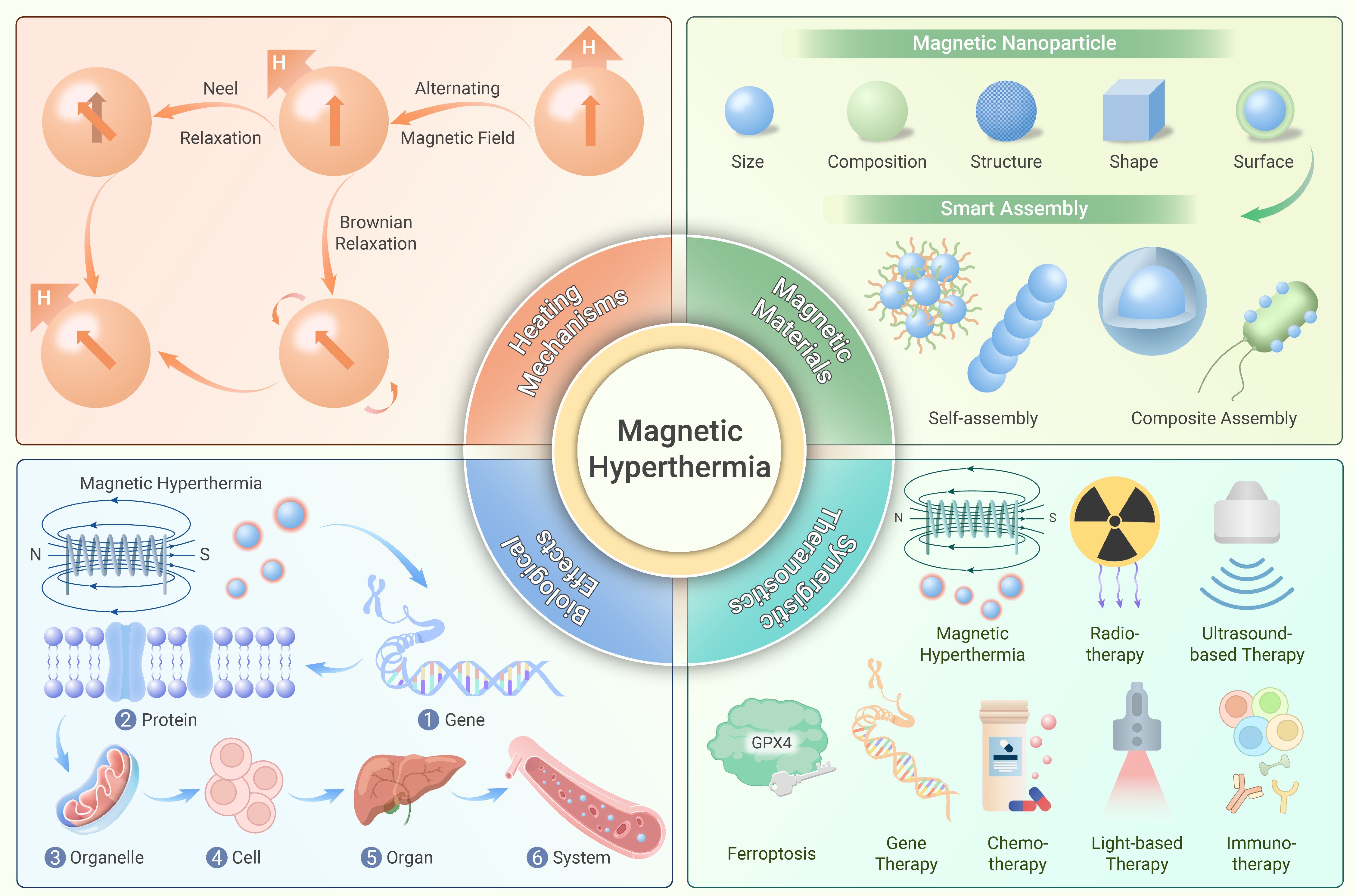 Magnetic nanoparticle-mediated hyperthermia: From heating mechanisms to ...