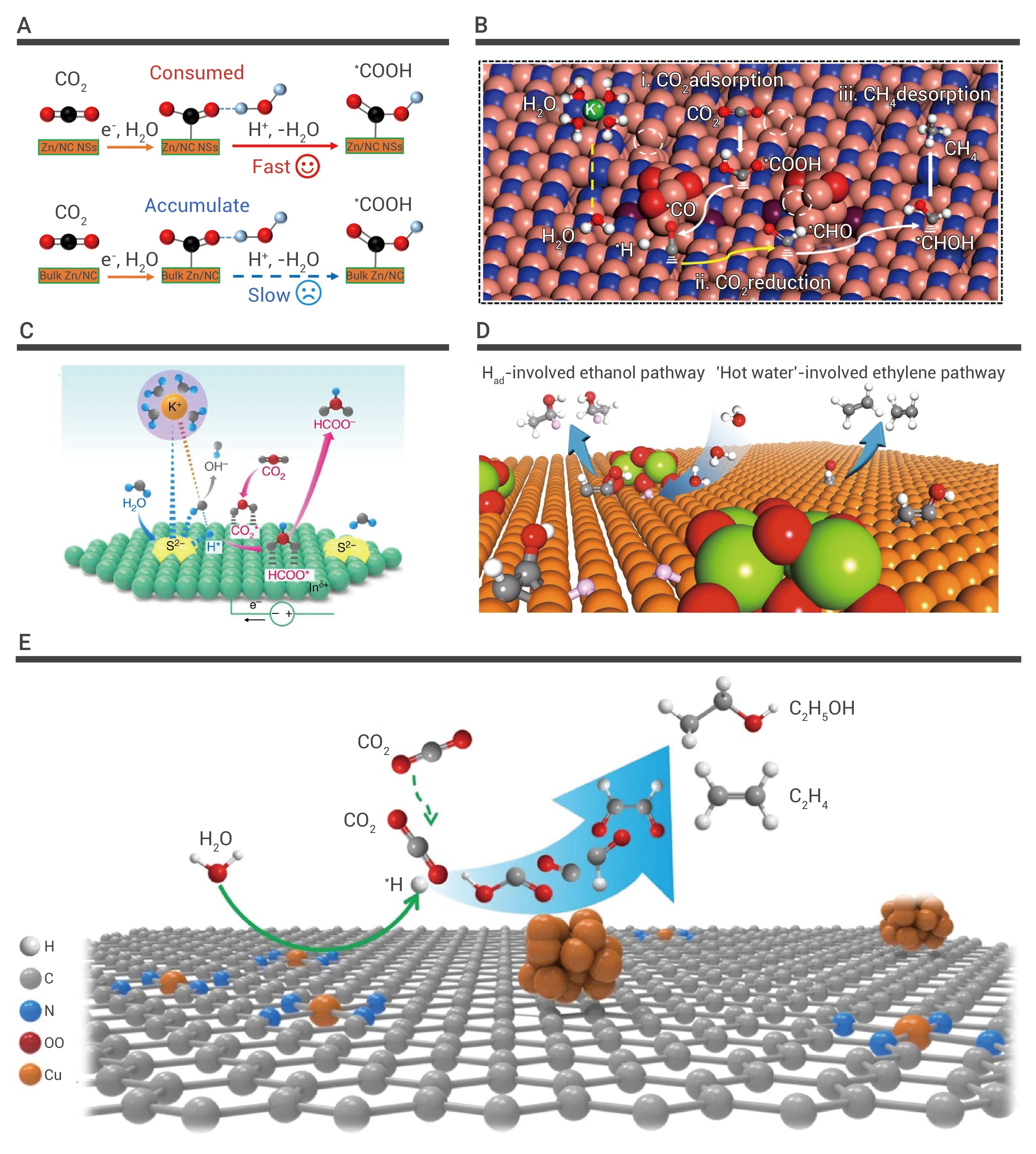 Active hydrogen-controlled CO 2 /N 2 /NO x electroreduction:From ...