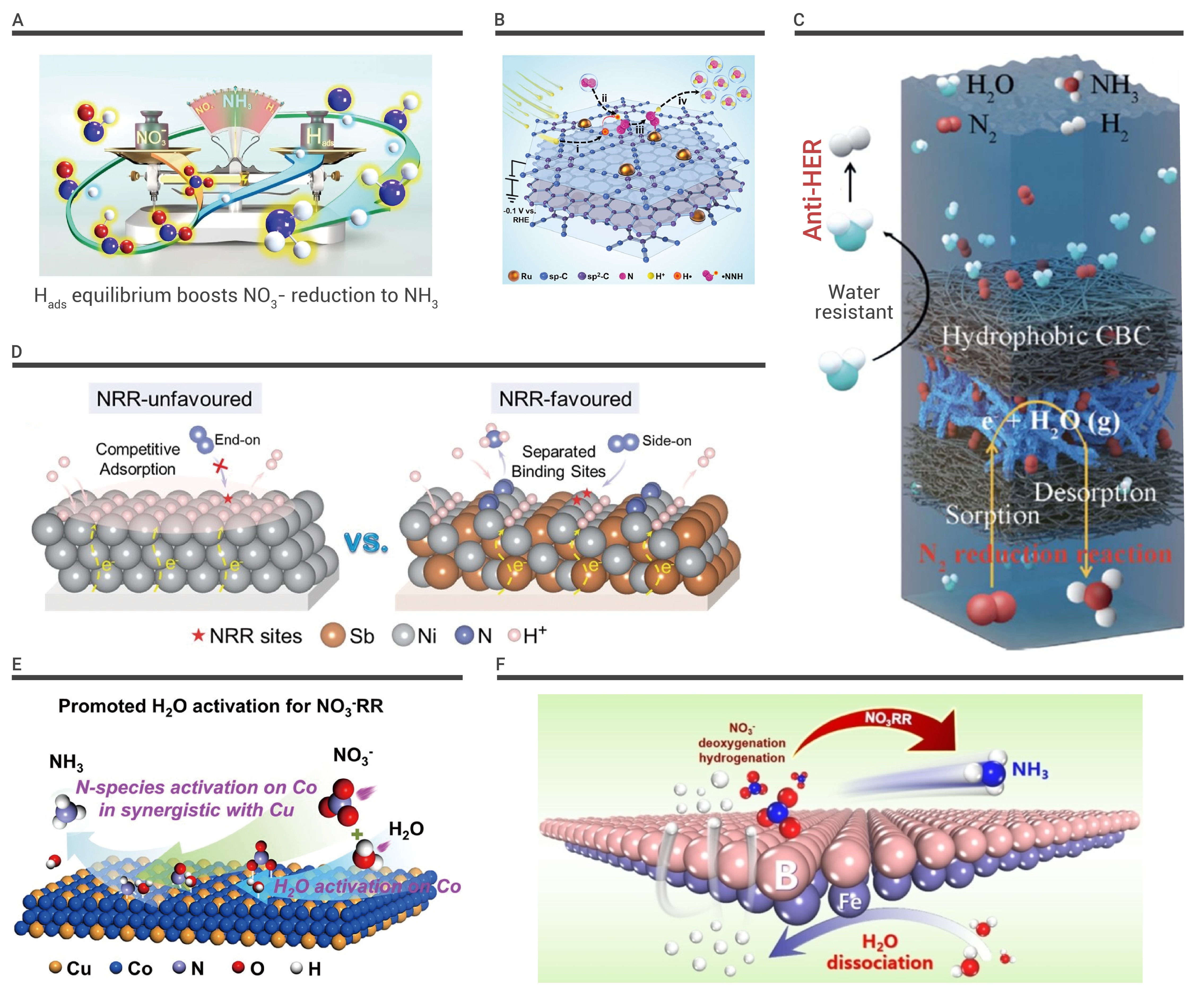 Active hydrogen-controlled CO 2 /N 2 /NO x electroreduction:From ...