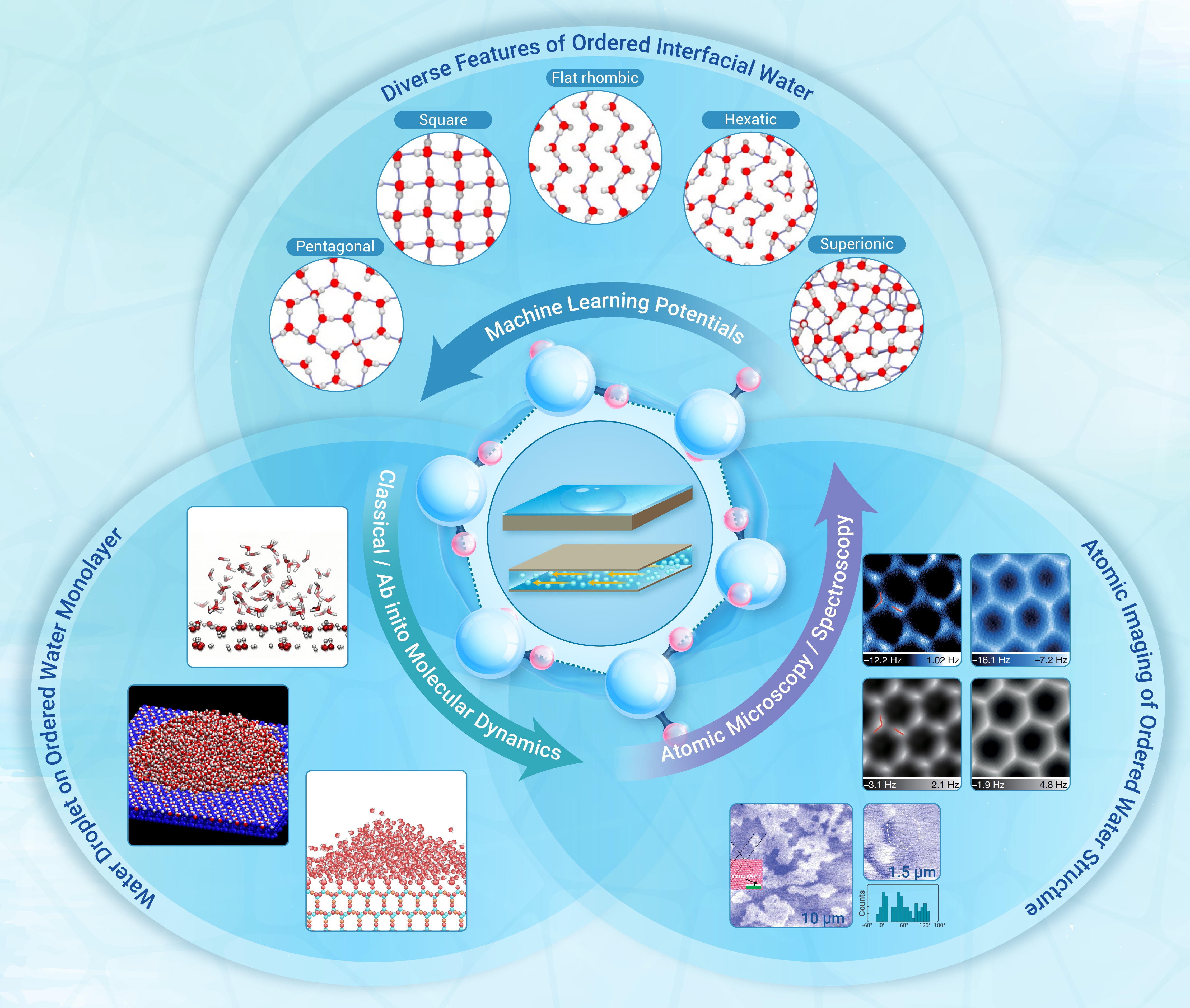 Diverse phases of water molecules confined at nanoscale