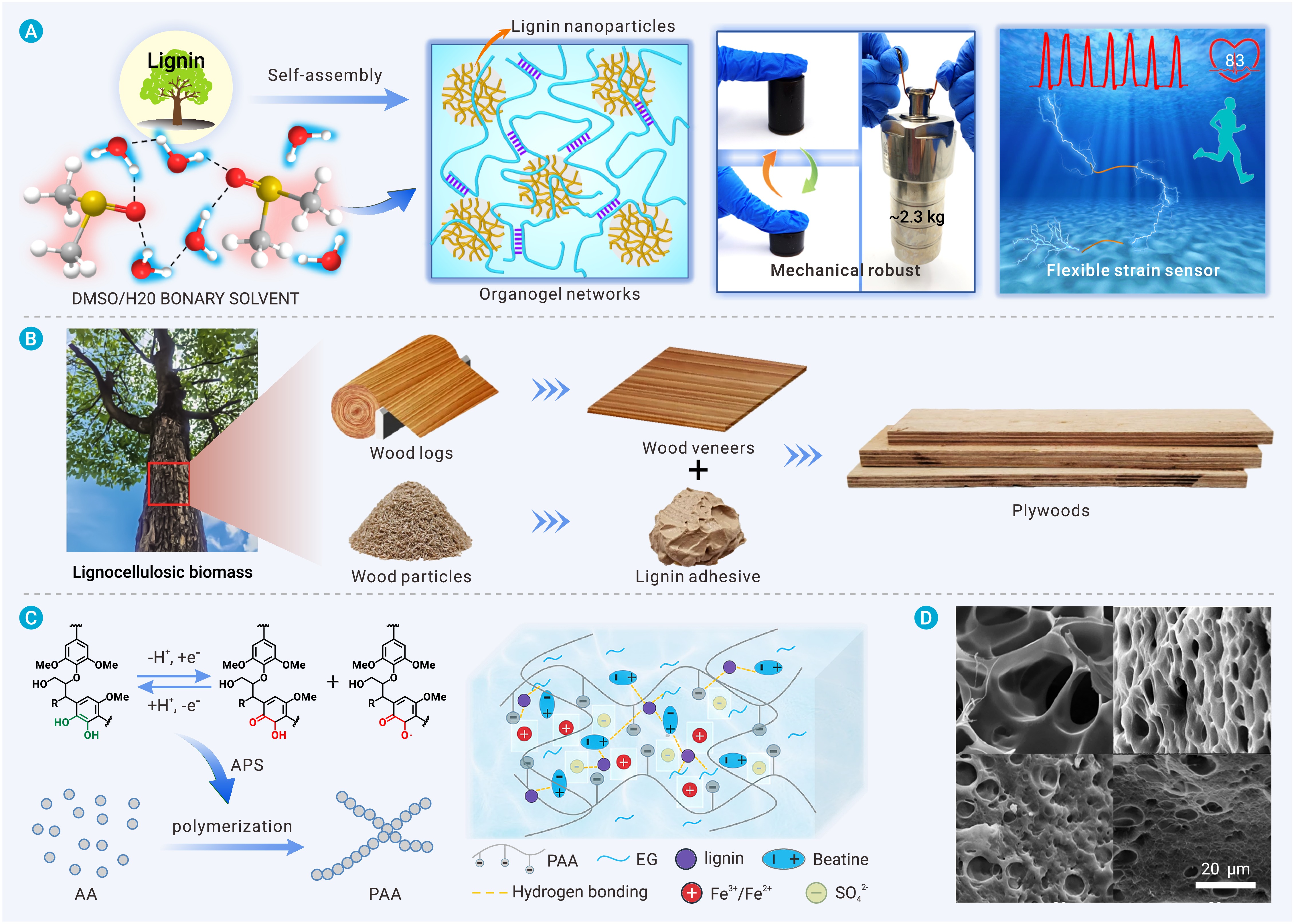 Bio–based polymers from lignin