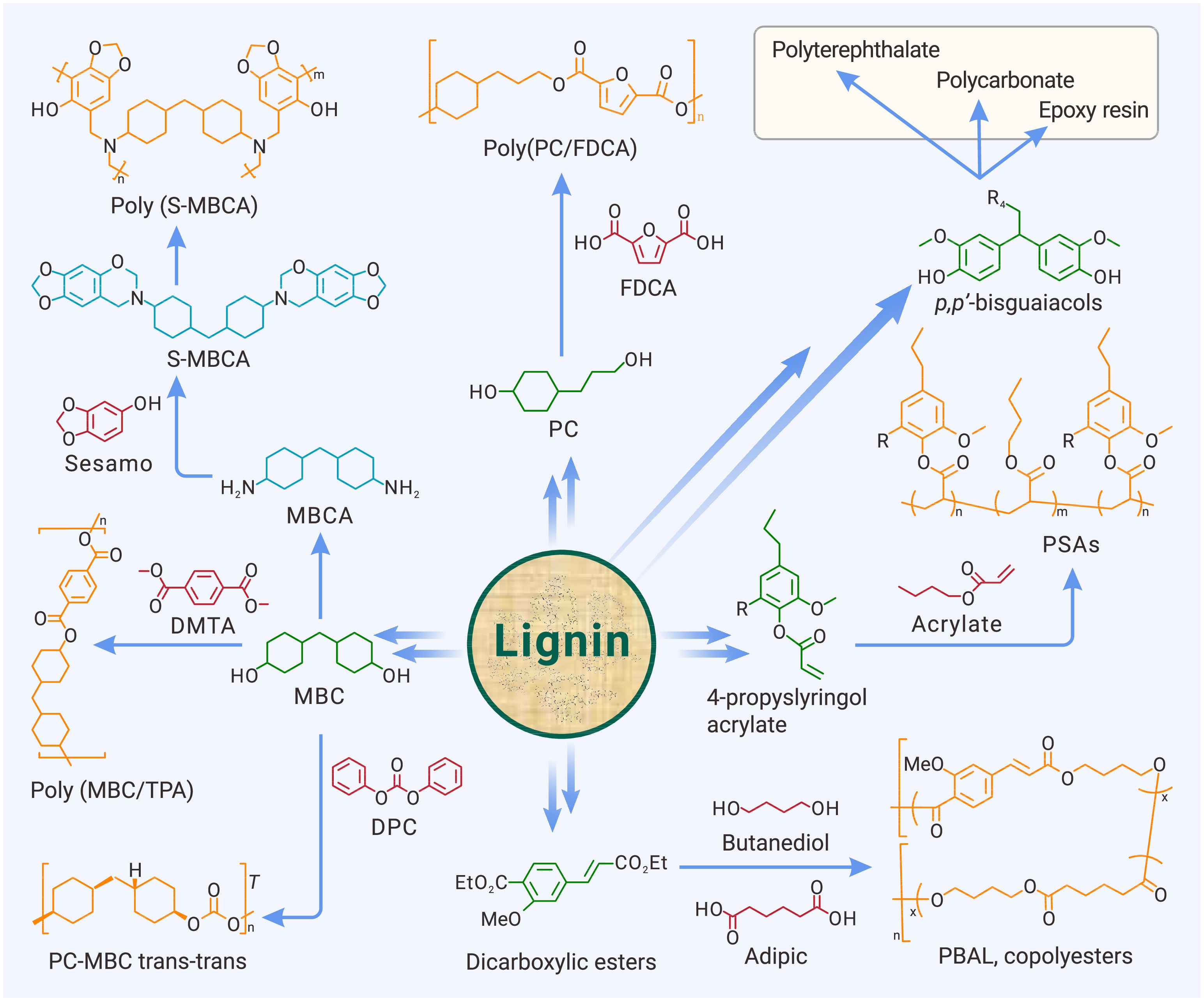 Bio–based polymers from lignin