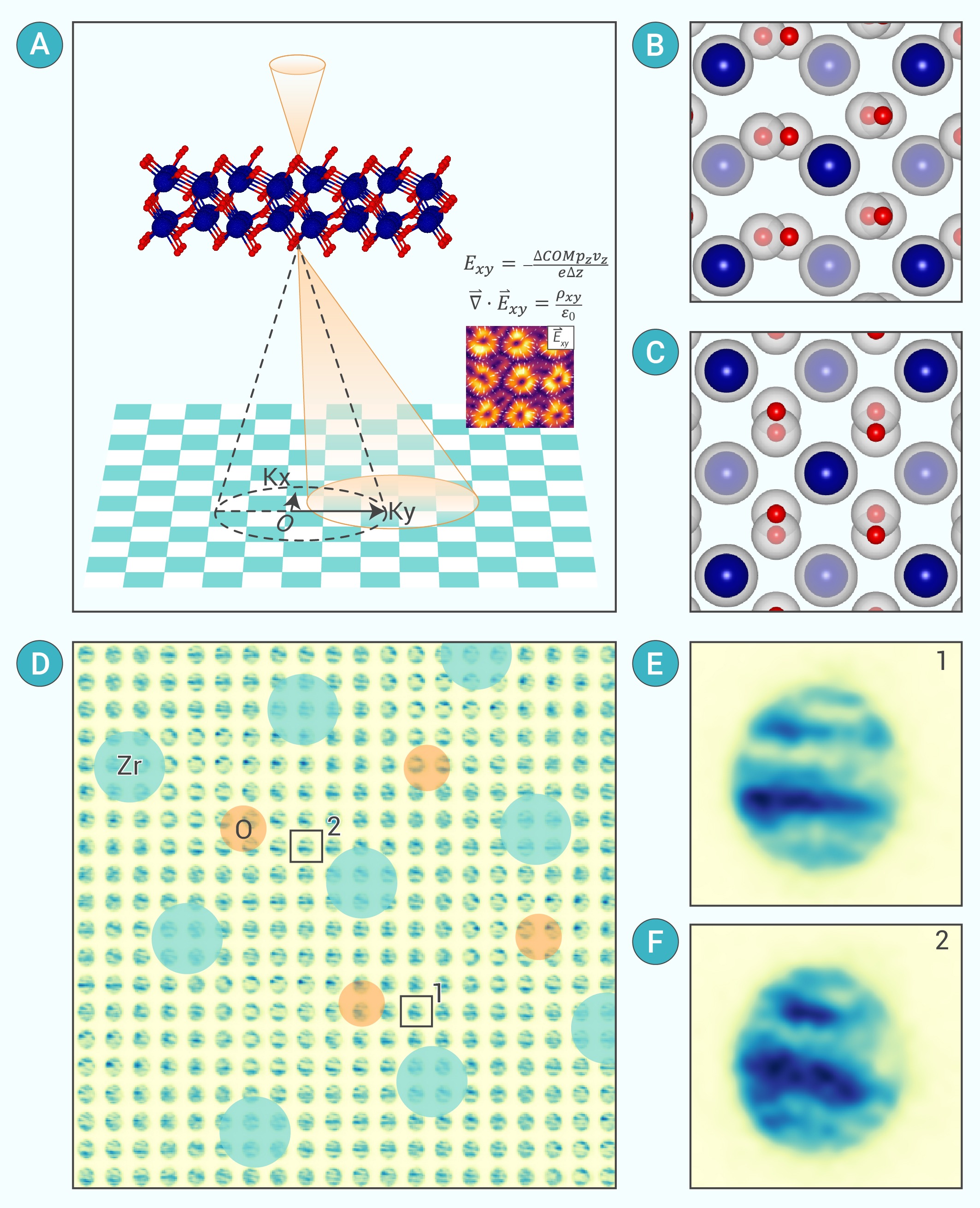 Direct observation of charge density and electronic polarization in ...