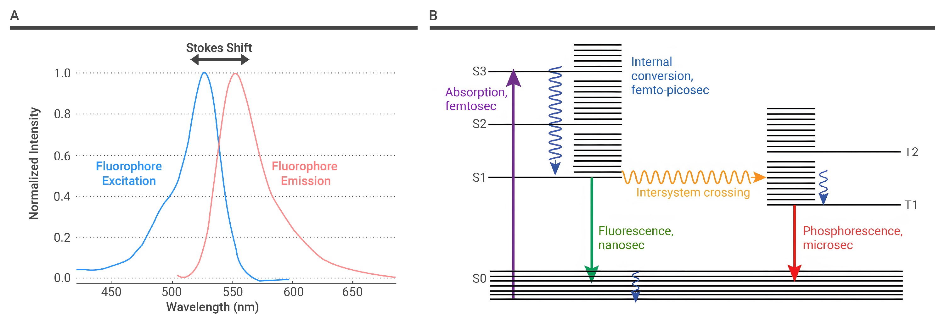 Advances of fluorescent DNA nanostructures in biomedical applications