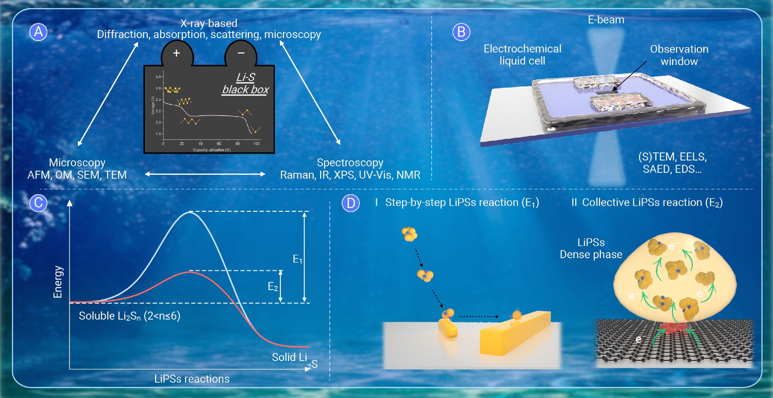 The “Black Box” of Li-S batteries unveiled by liquid cell transmission ...