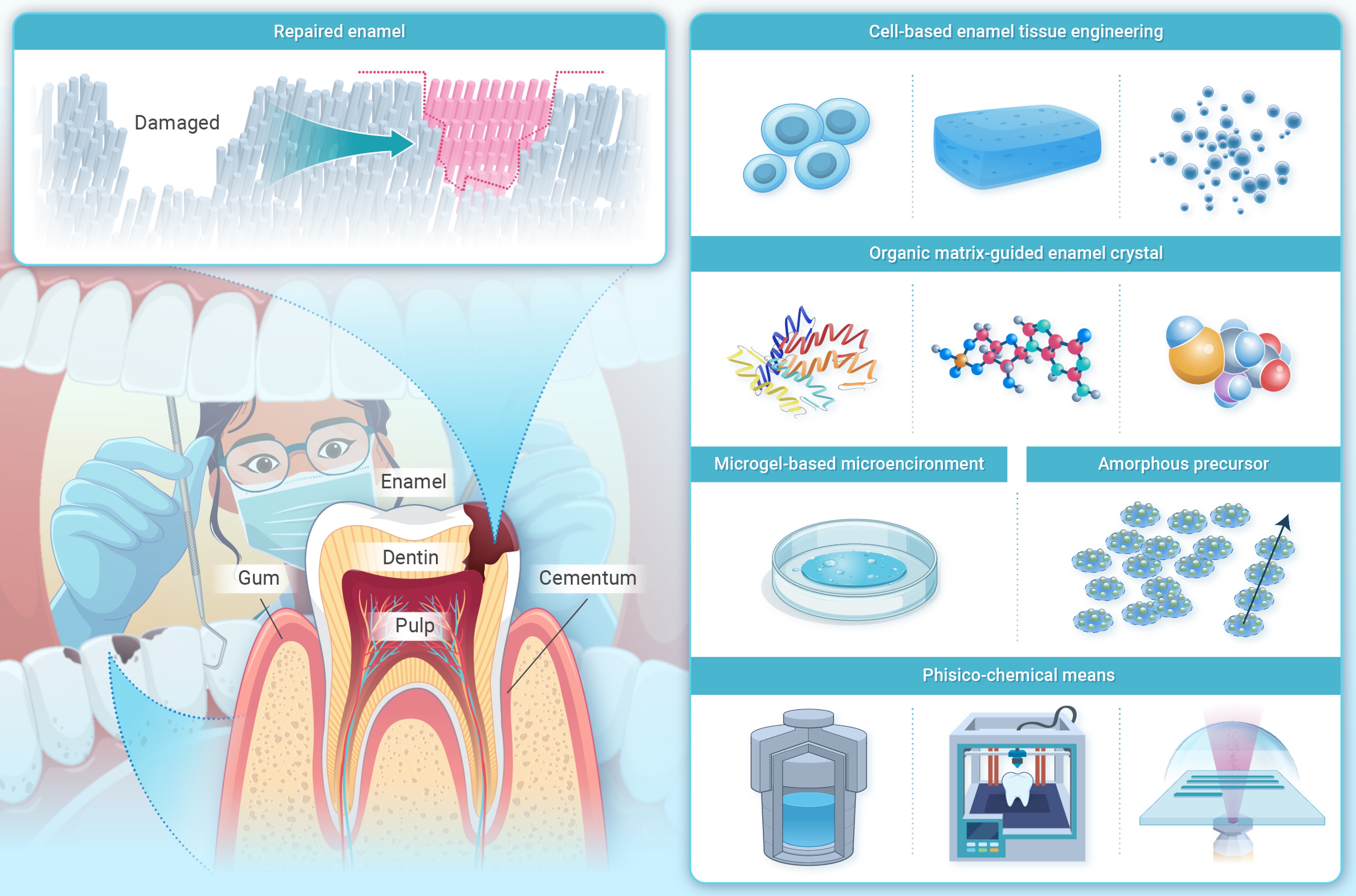 Preparation, microstructure, and mechanical properties of enamel-like ...