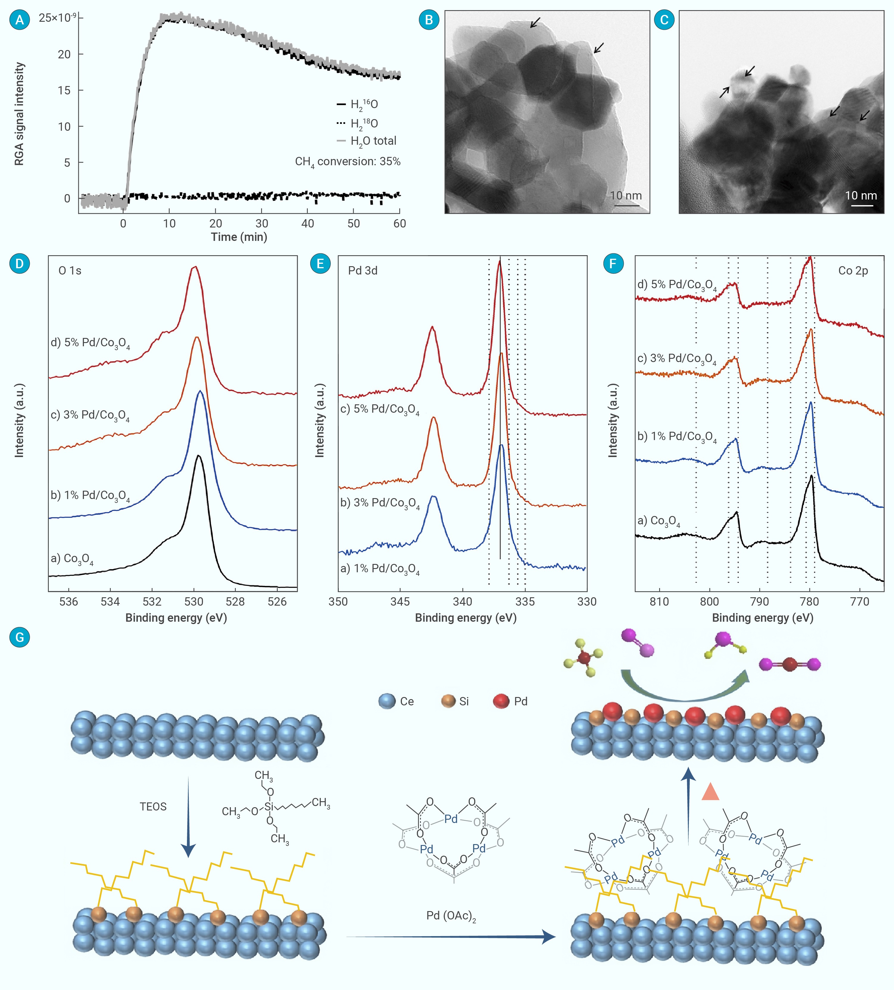 Progress in palladium-based bimetallic catalysts for lean methane ...