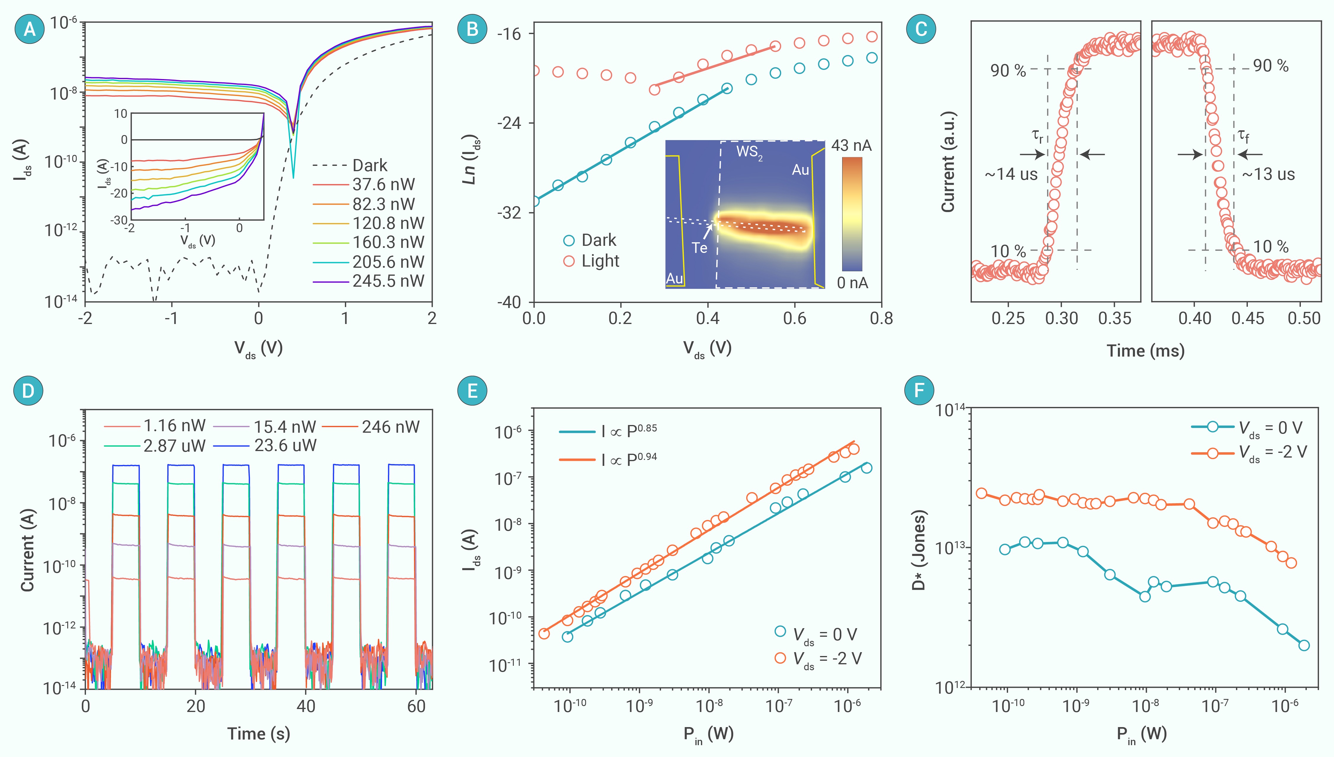High rectification and gate-tunable photoresponse in 1D-2D lateral van der waals heterojunctions