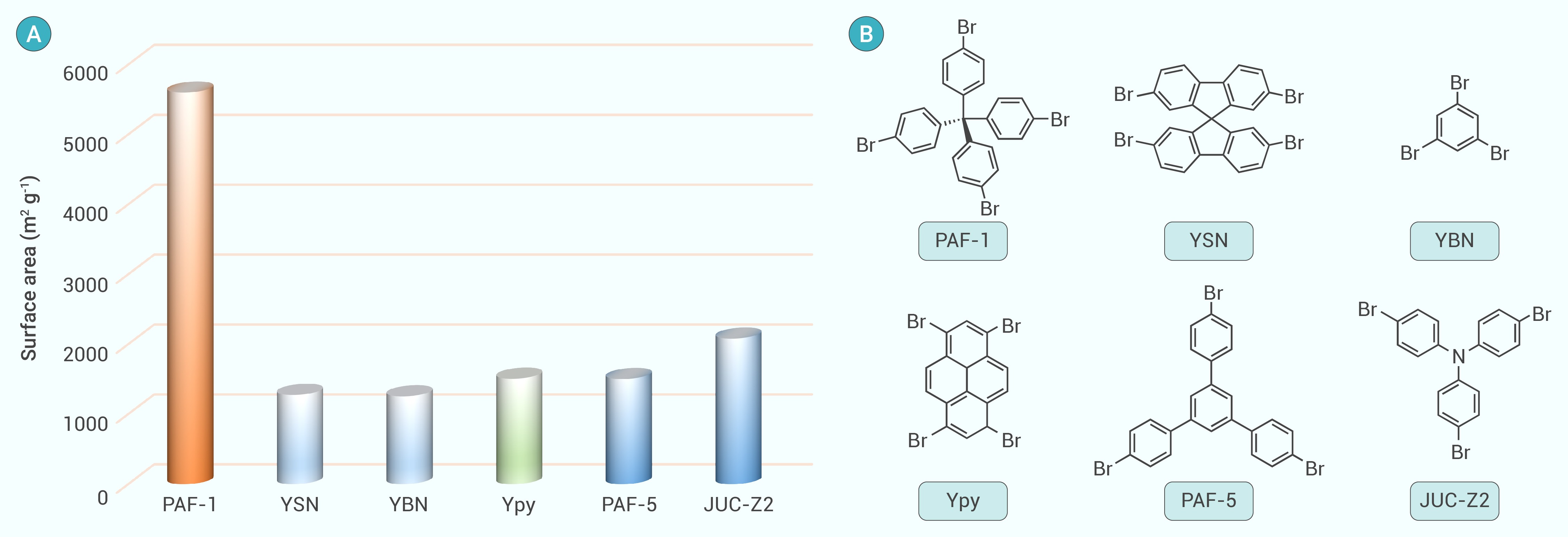 Advancement and functionalization of PAF-1 and its derivatives