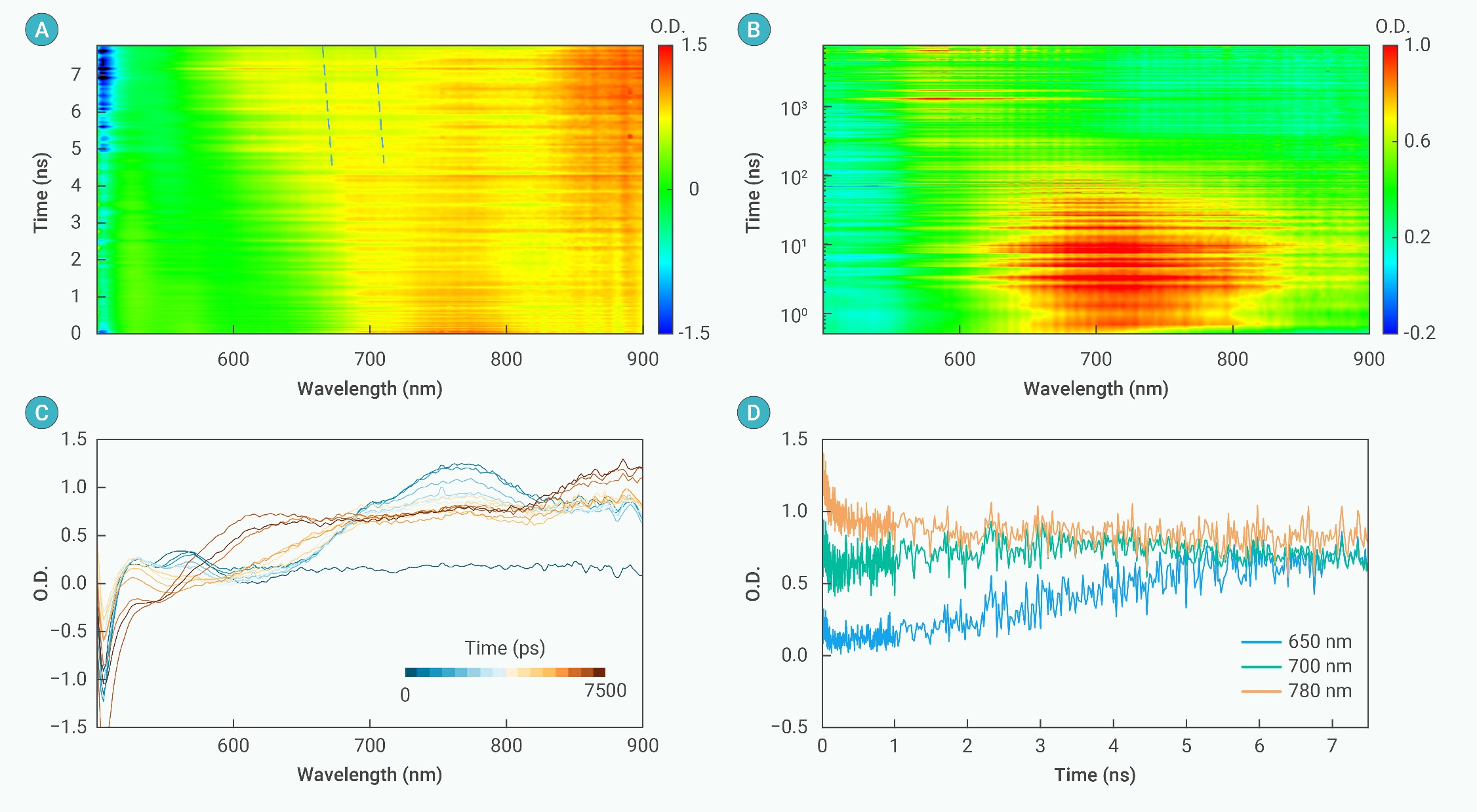 Deciphering intermediate excited states in spin-flip transition in ...