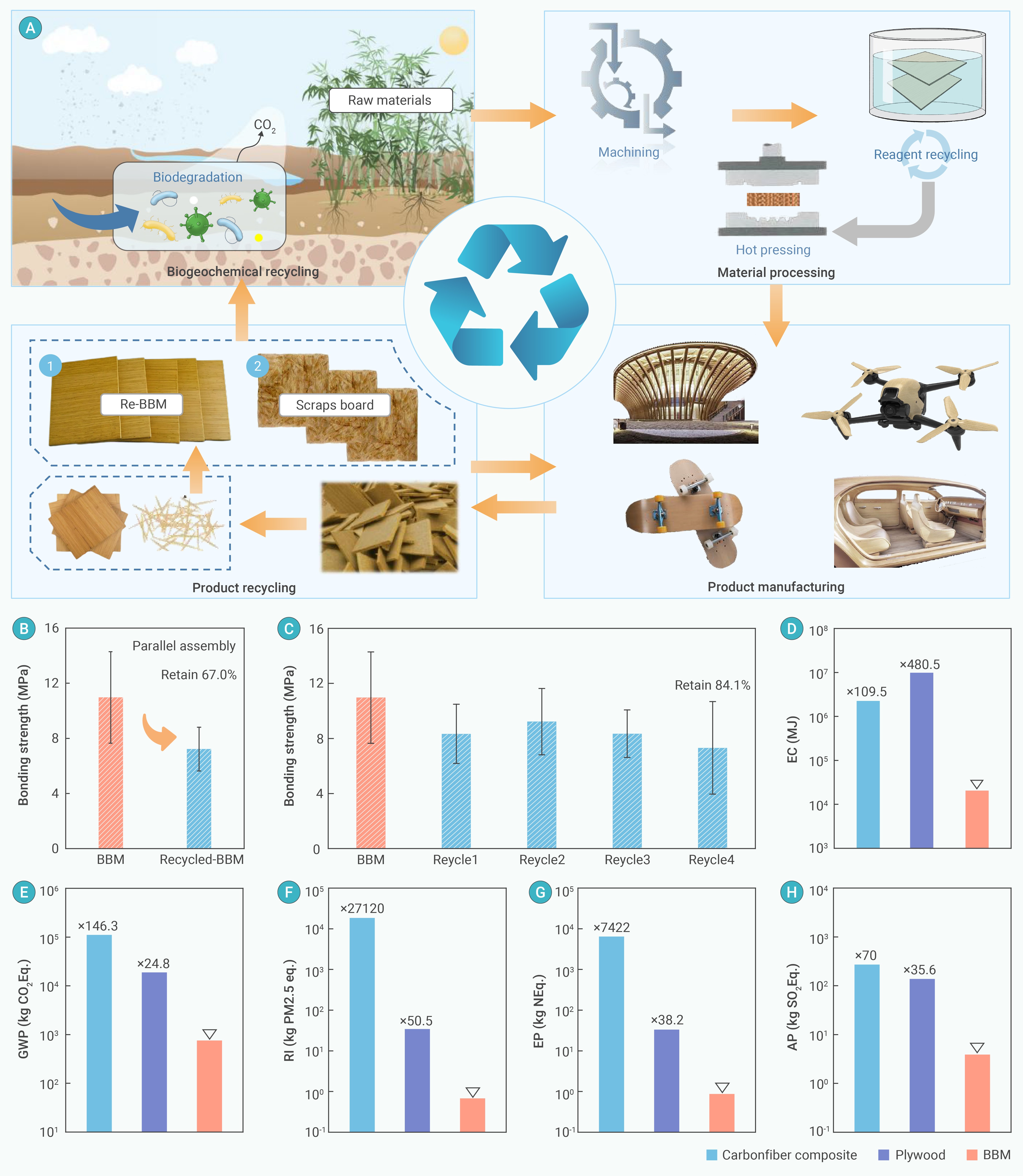 Synergistic interaction of non-covalent and coordination bond to ...