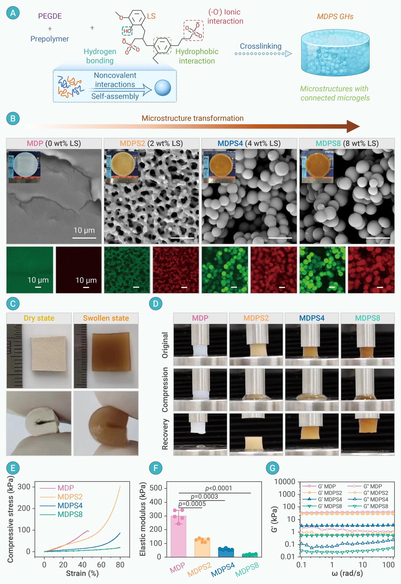 Tailoring self-assembled granular hydrogels (GHs) for immunomodulation ...