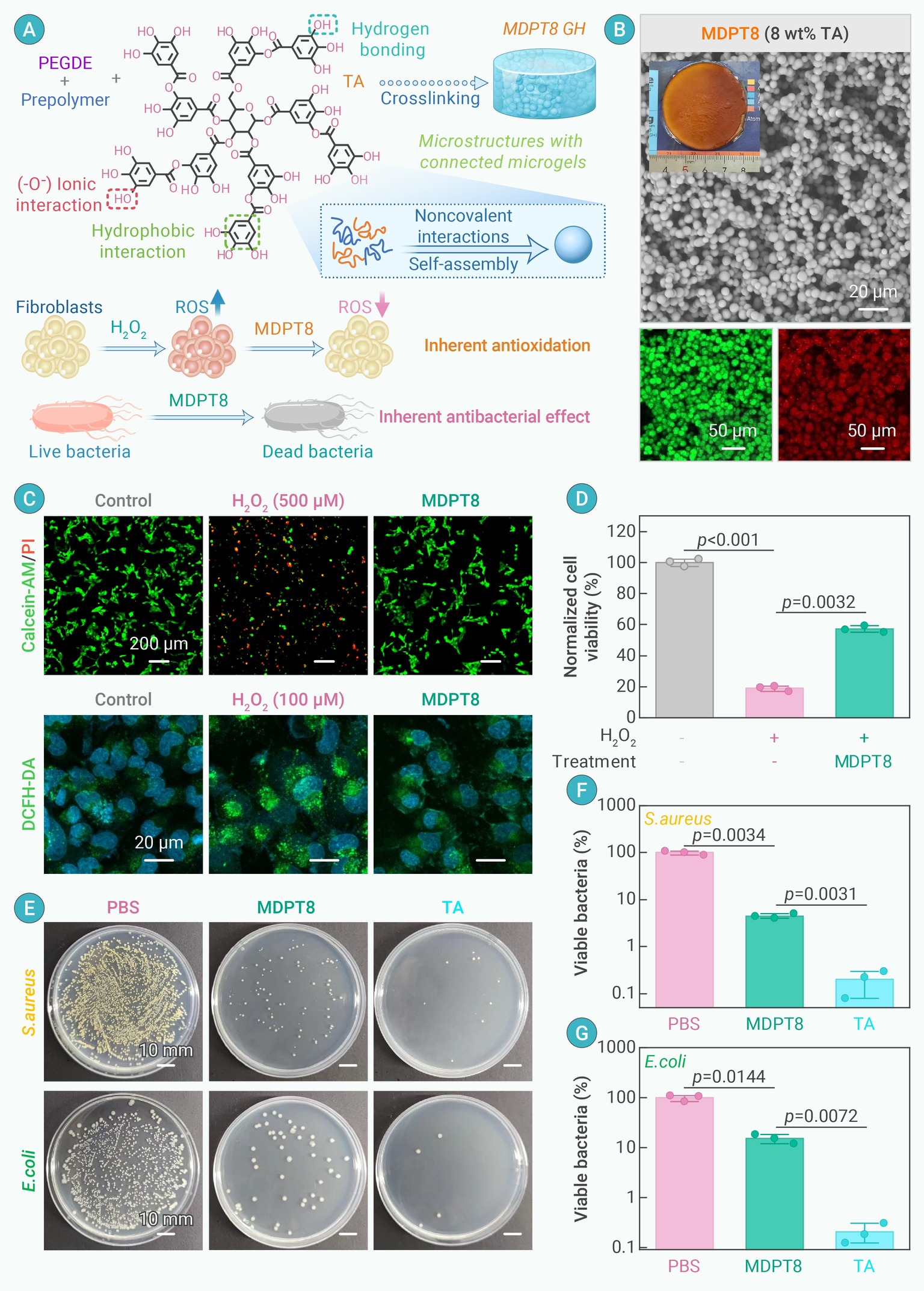 Tailoring self-assembled granular hydrogels (GHs) for immunomodulation ...