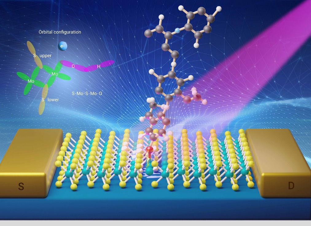 Universal Taxol molecular binding engineering in dual-polarity MoS 2 ...
