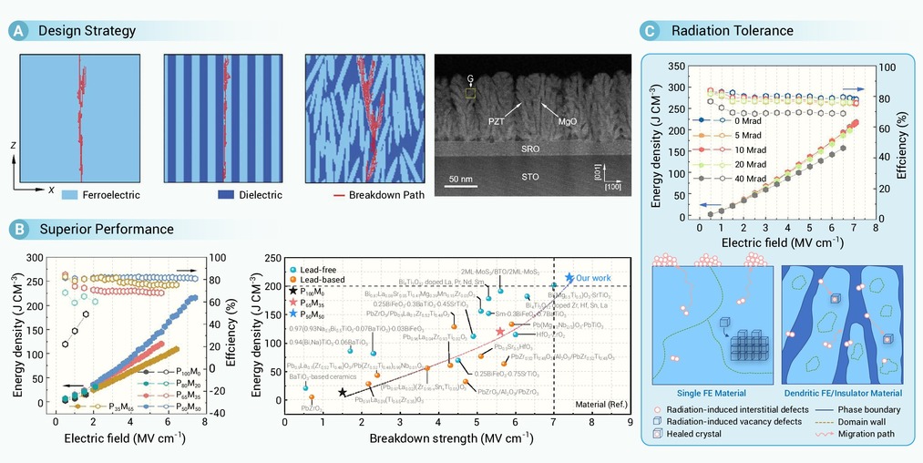 Dendritic nanopolar architectures: A paradigm for ultrahigh-density and ...