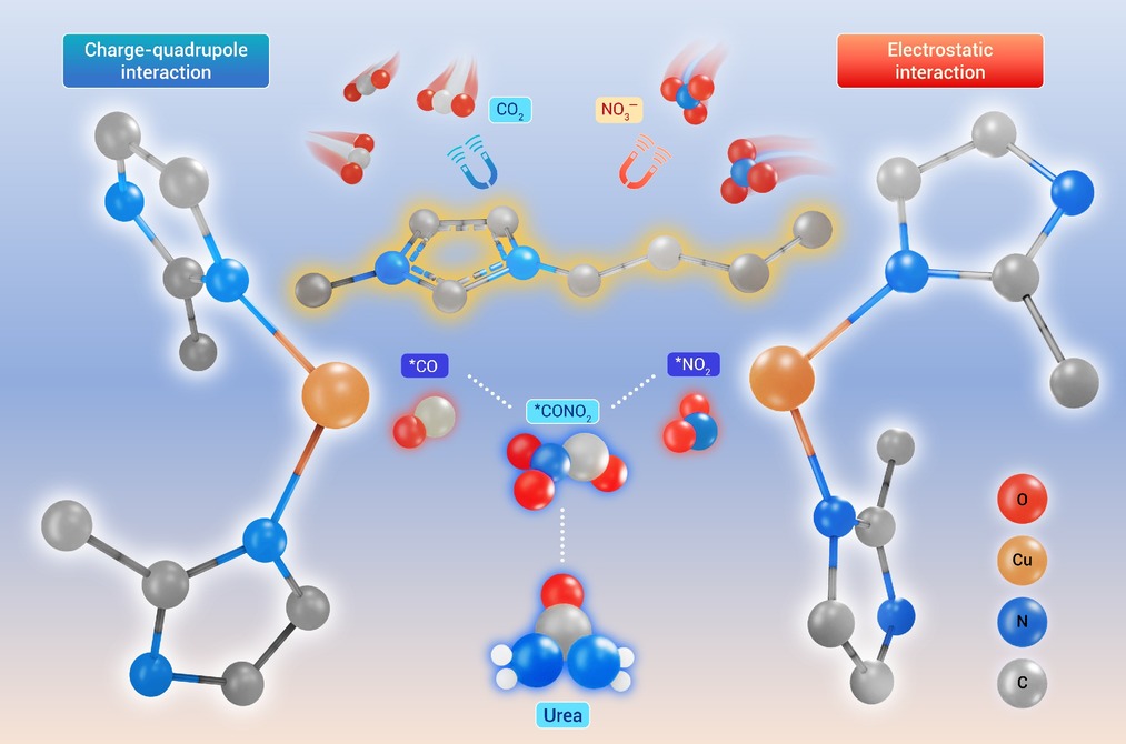 An ionic liquid-bridge strategy for selective and efficient urea ...