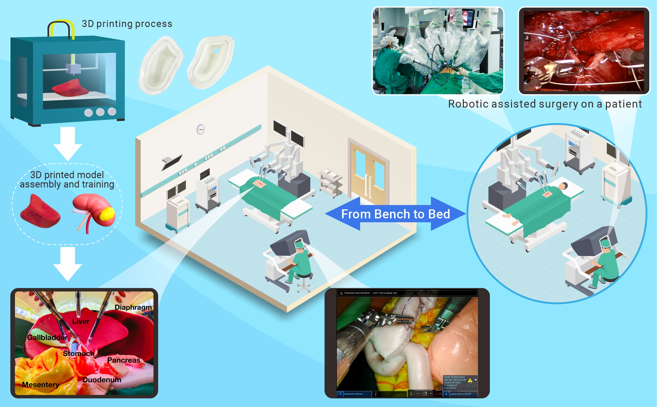 Enhancing robotic-assisted surgery training with 3D-printed bio-models ...