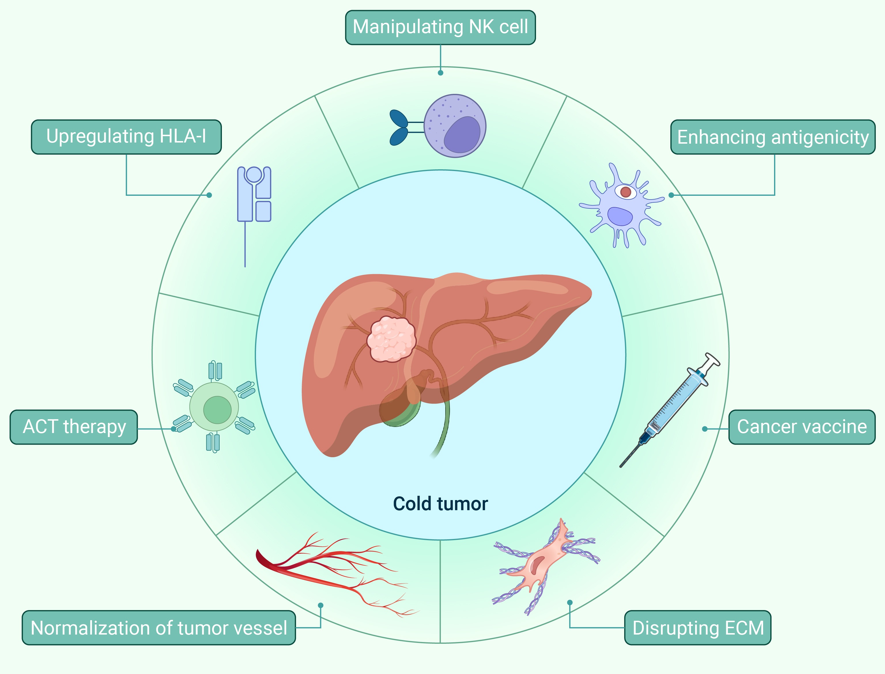 Igniting cold tumors of intrahepatic cholangiocarcinoma: An insight into immune evasion and ...