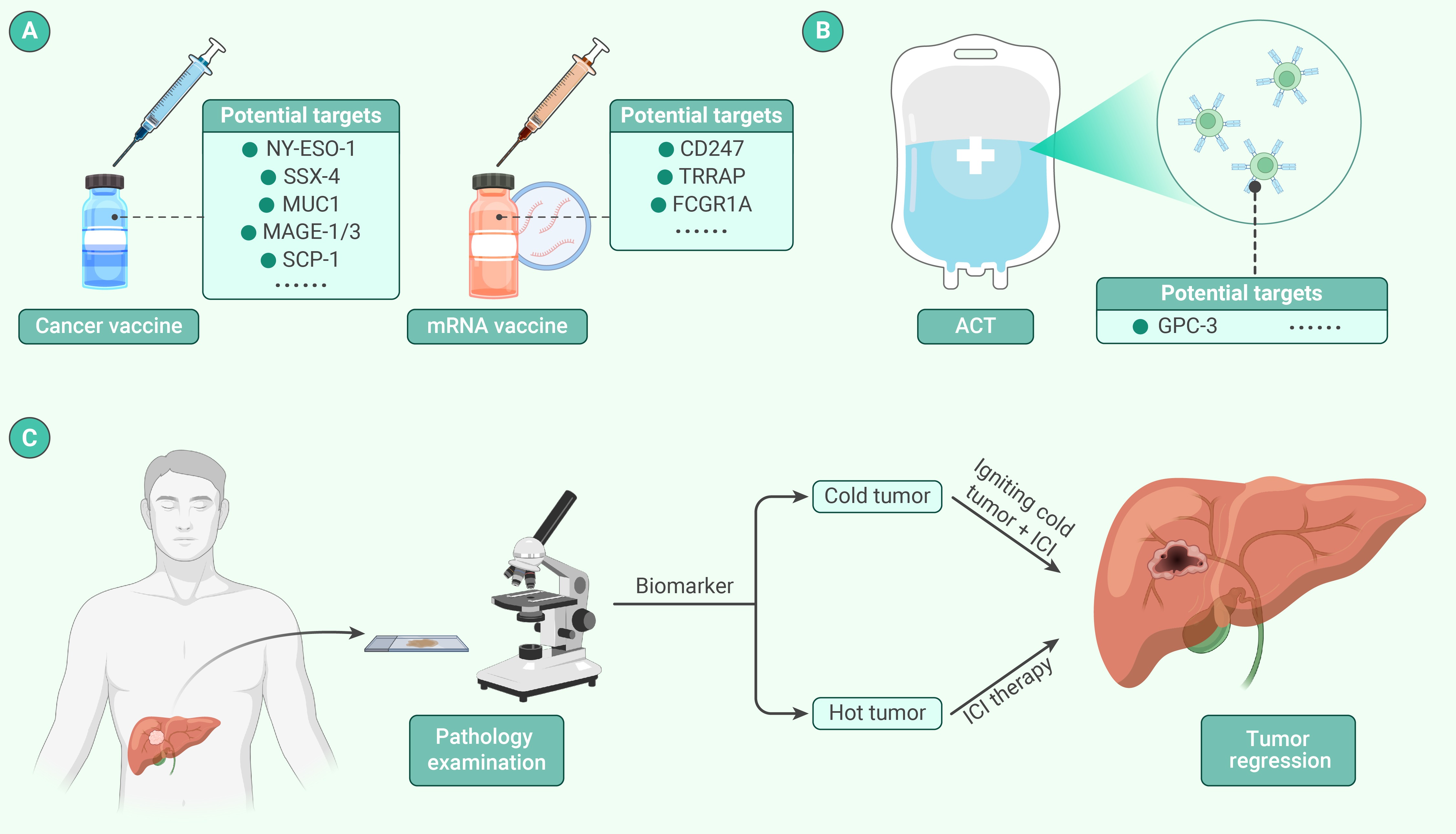 Igniting cold tumors of intrahepatic cholangiocarcinoma: An insight ...