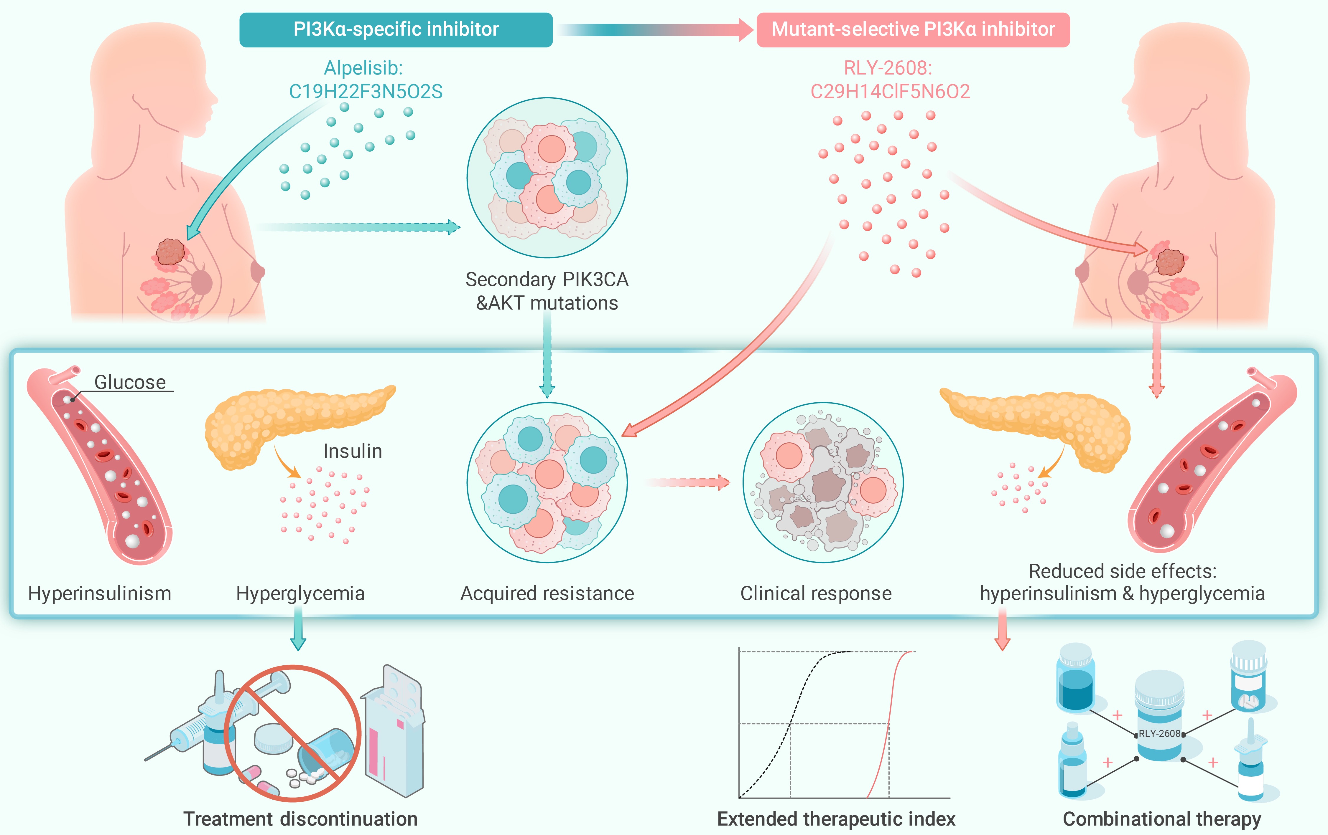Breaking a bottleneck for on-target toxicity: A mutant-selective PI3Kα ...