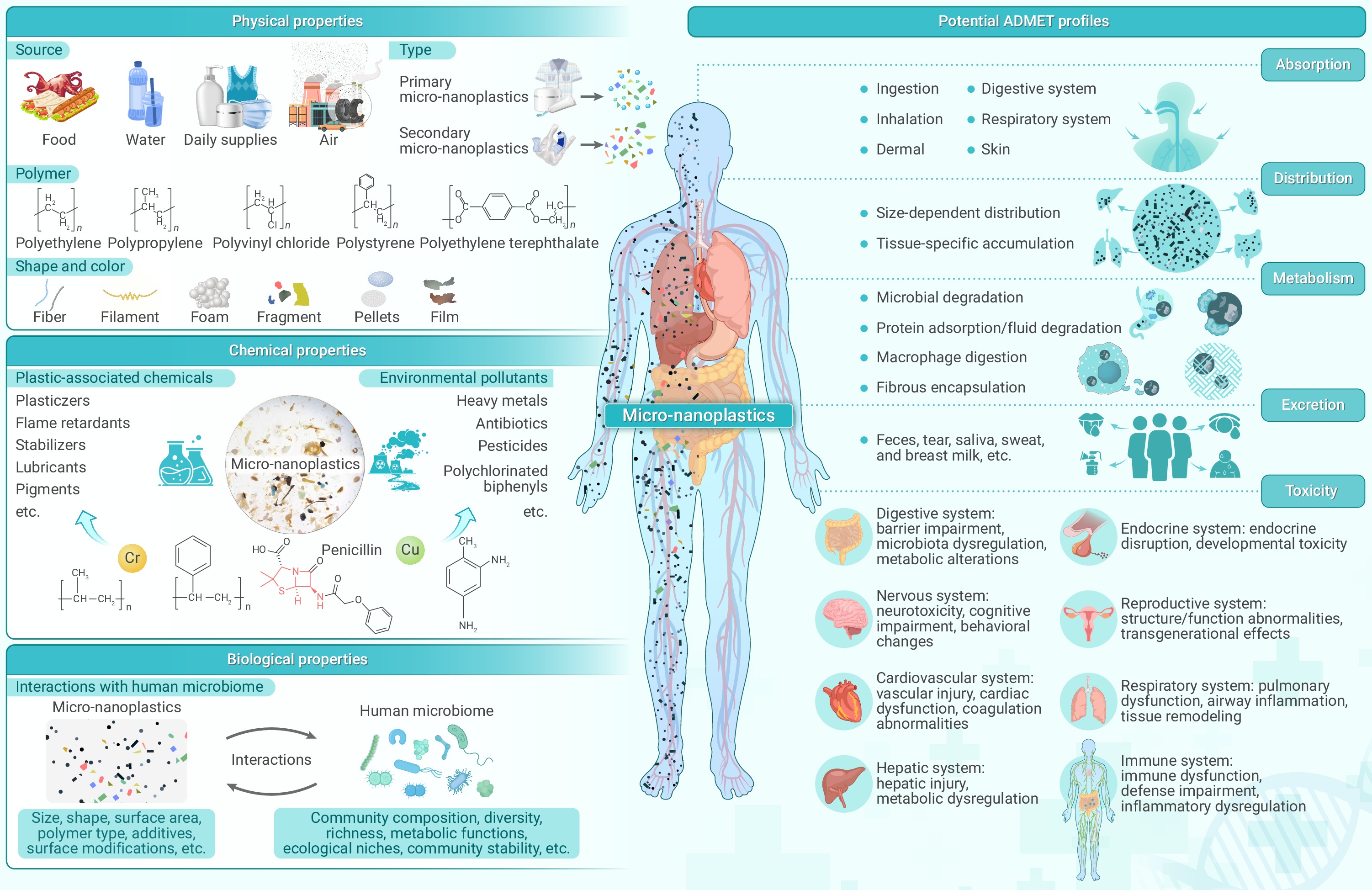 Beyond physical particles: A holistic assessment of human health risks from real-world micro ...