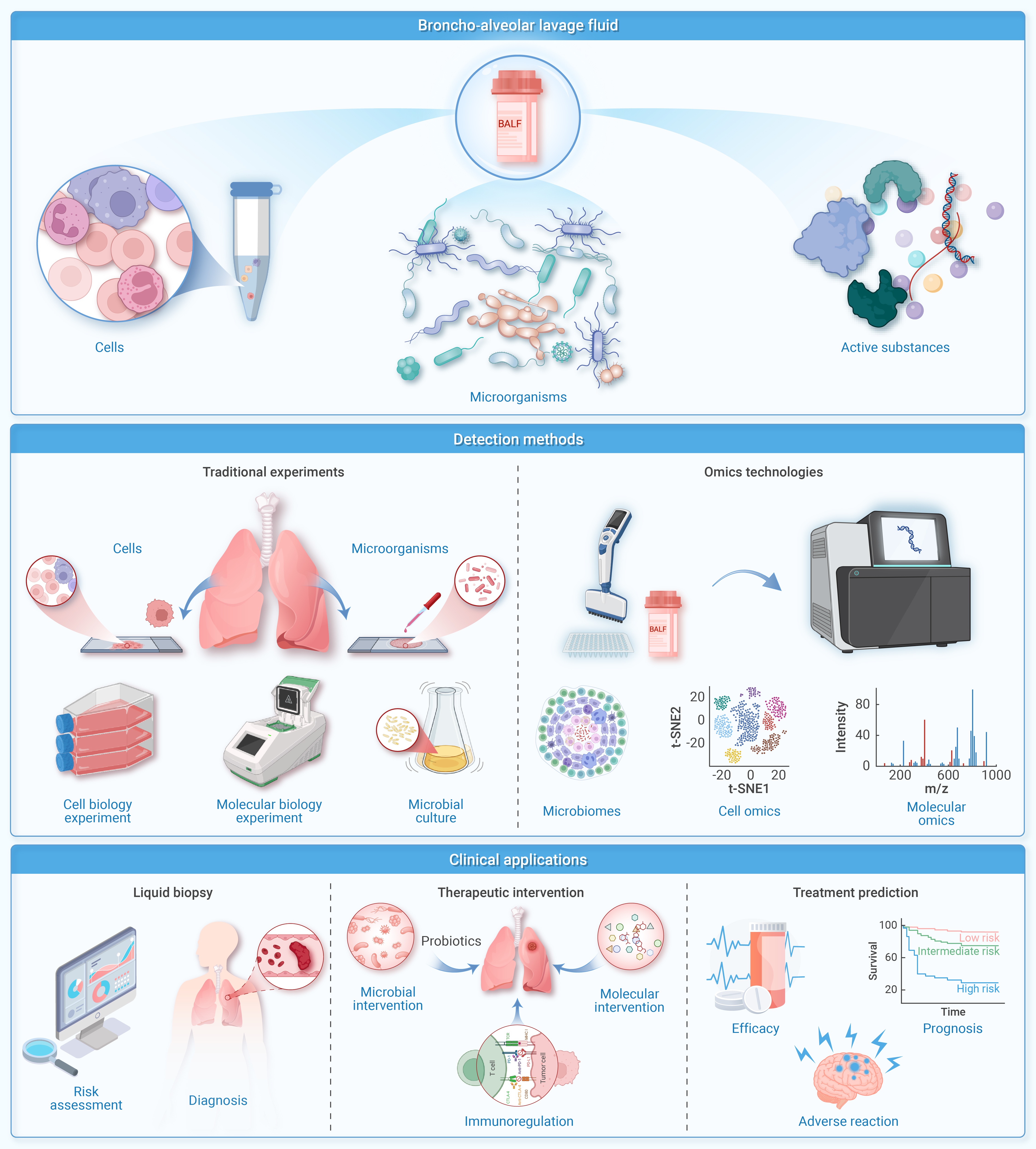 Bronchoalveolar lavage fluid (BALF): Clinical applications for present ...