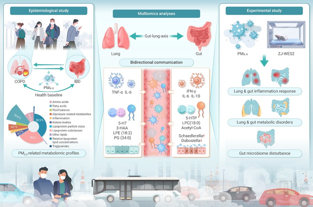 Associations between PM 2.5 exposure and COPD and gastrointestinal ...