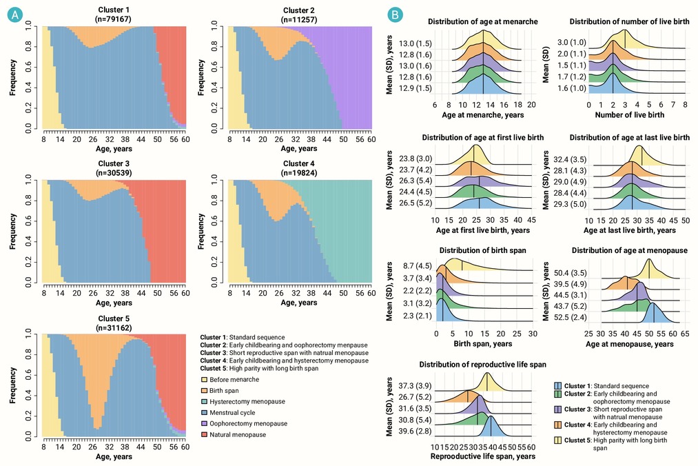 Women’s reproductive life patterns and risk of chronic conditions and ...