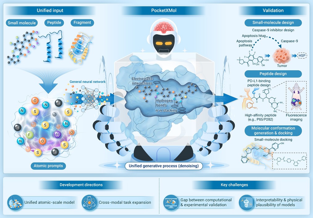 PocketXMol: An atomic-level AI revolutionizing molecular design for ...
